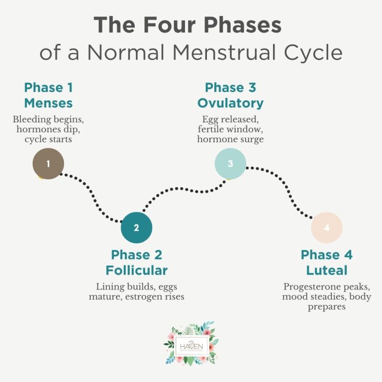 Understanding a Normal Menstrual Cycle: What Every Woman Needs to Know